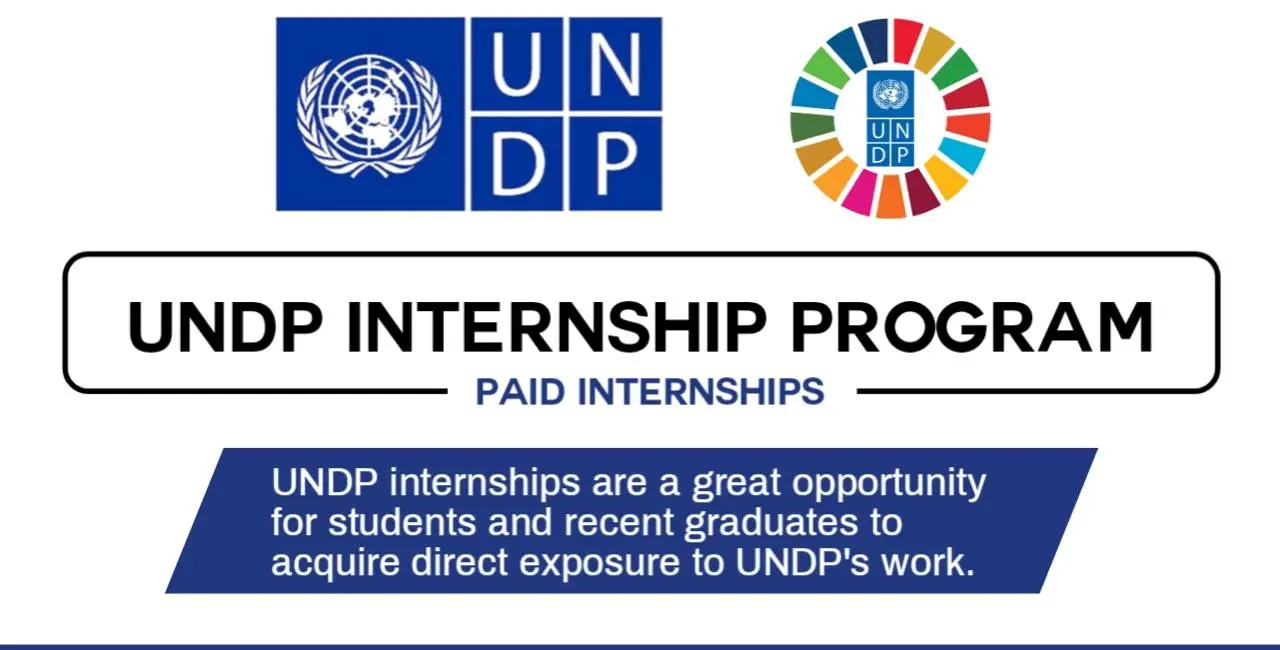 Home-based Sustainable Energy Research Intern at UNDP (paid internship ...